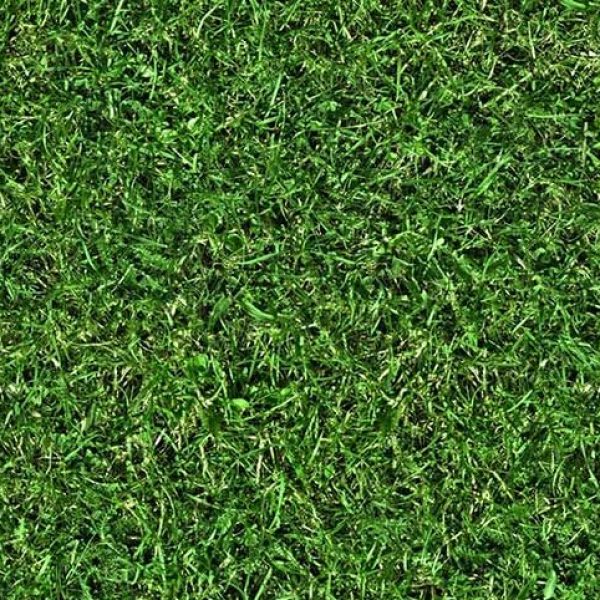grass-5-seamless-turf-lawn-green-ground-field-texture - Concord Garden